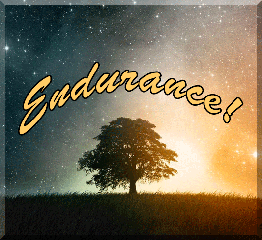 Reflections- “Endurance!” March 8, 2022 – Emily's Snippets